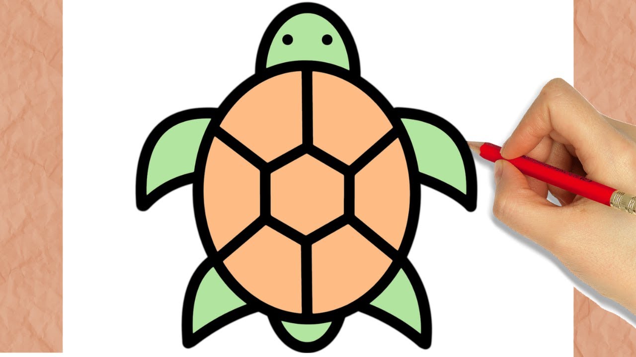 How To Draw A Cute Turtle Youtube