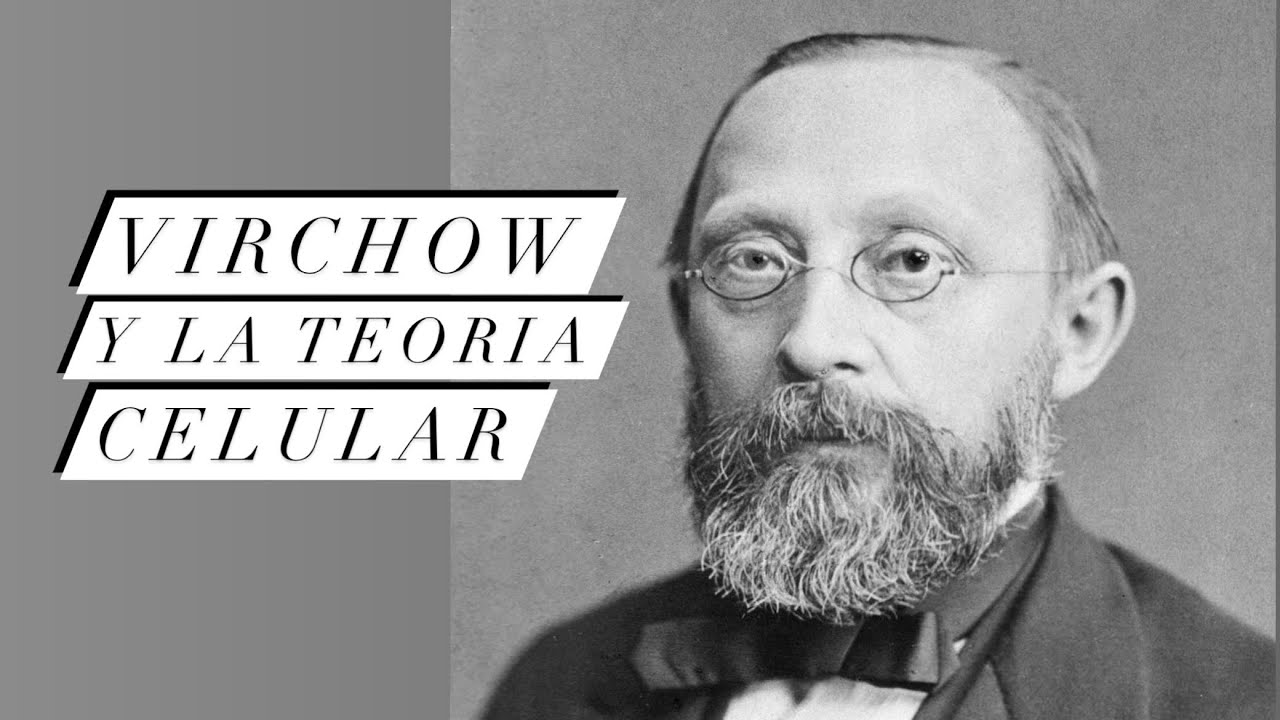 Microscopio Rudolf Virchow Rudolf Virchow Wikidata