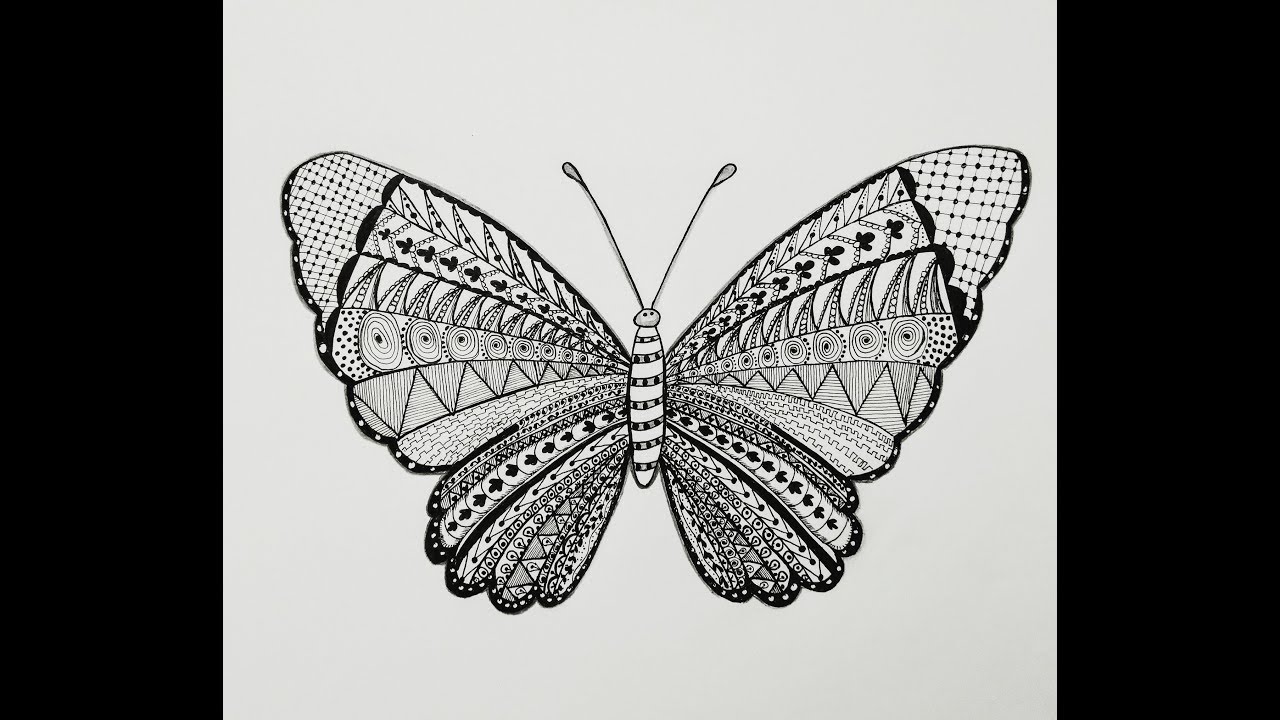 Zentangle Art Butterfly Drawing Easy Tutorial For Zentangle Butterfly