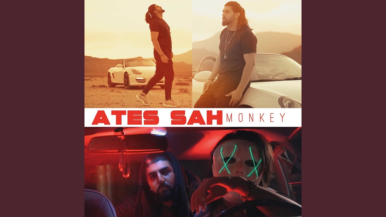 Monkey Youtube