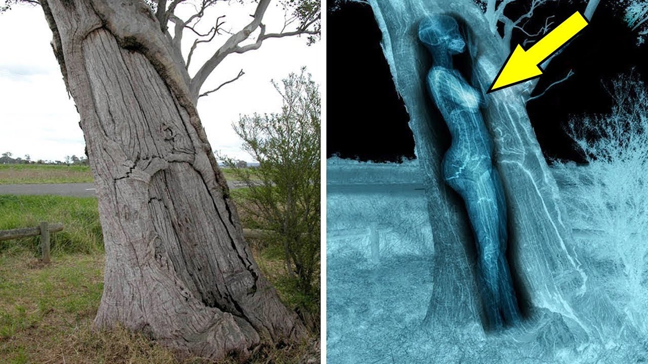 10 Strange Things Found In Unexpected Places Youtube