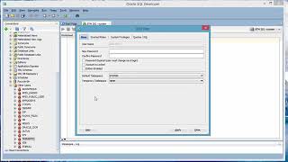 How To Create New Connection With New User In Oracle Sql Developer ...