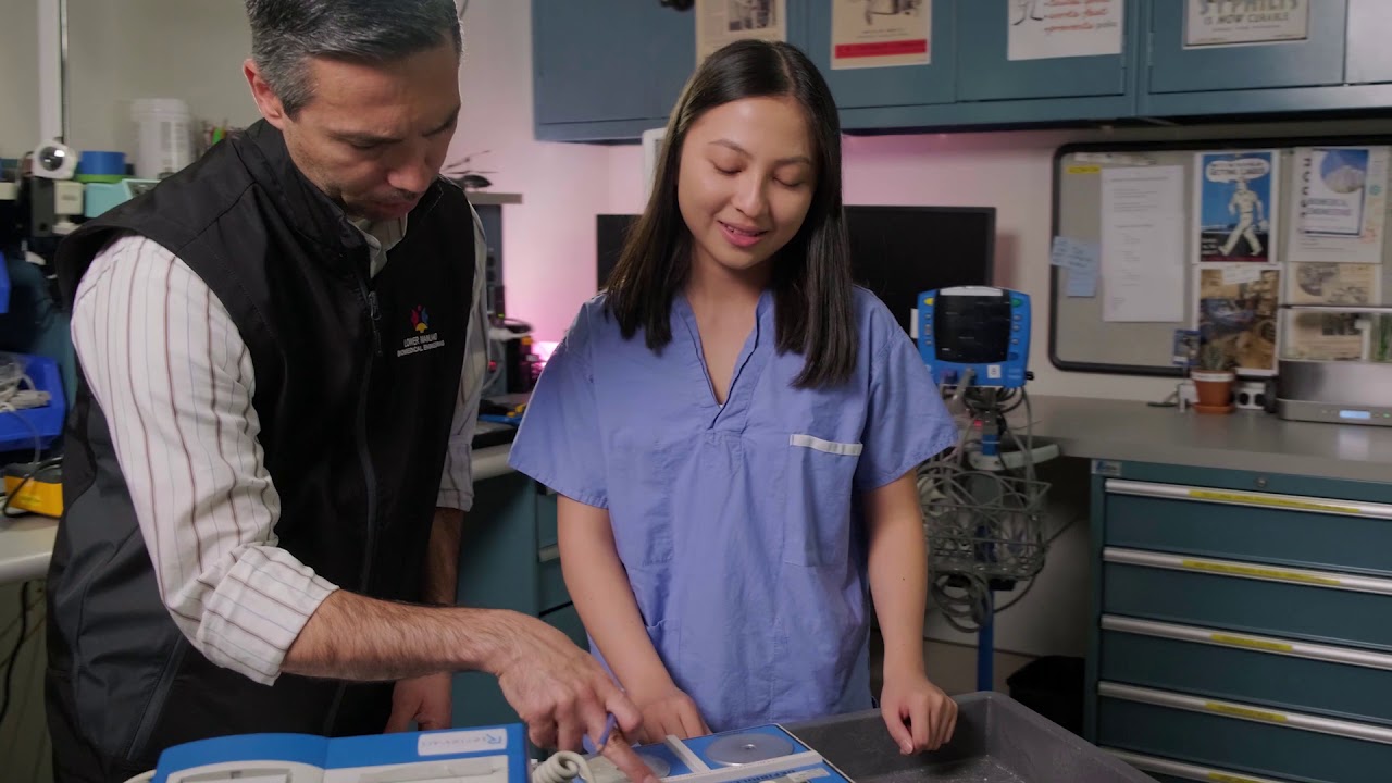 Biomedical Engineering Technology Diploma Full Time Bcit