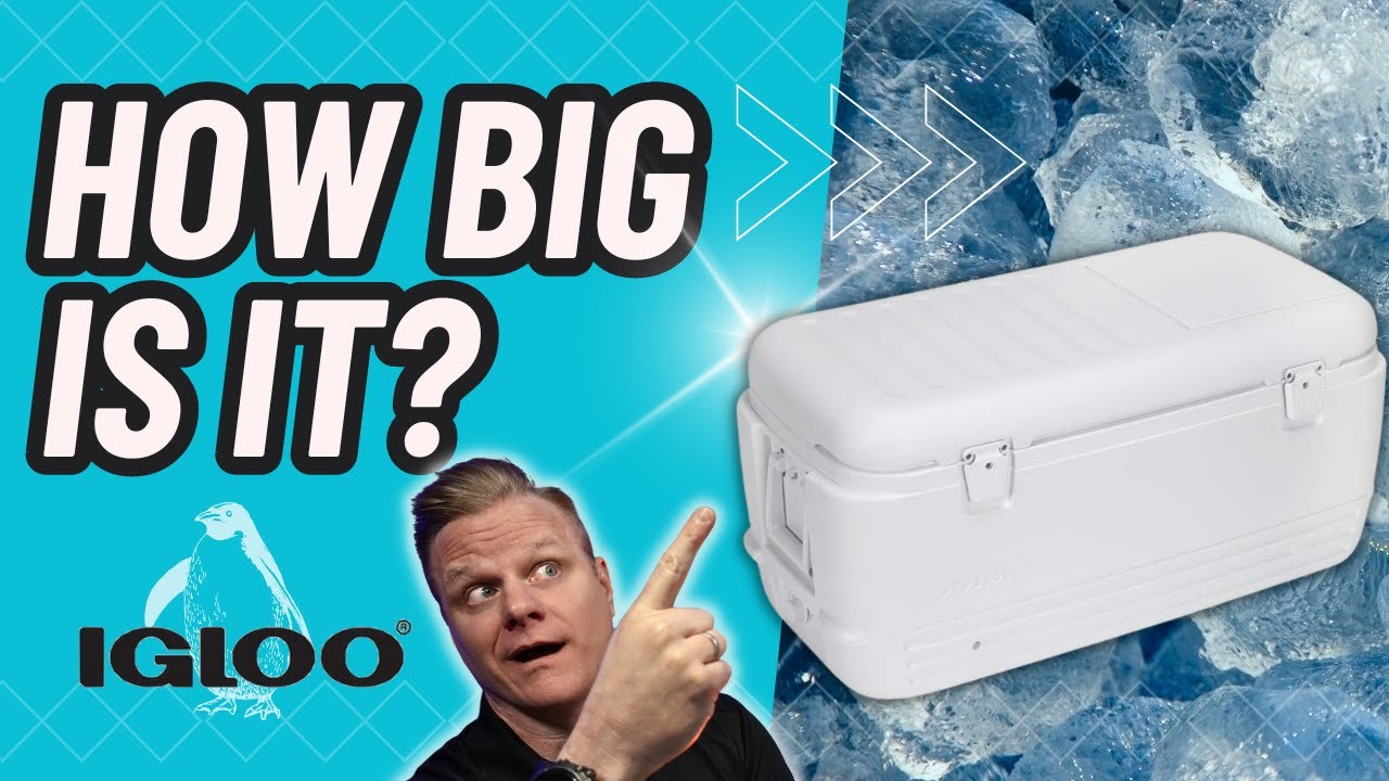Igloo Polar Cooler Is It Big Enough Youtube