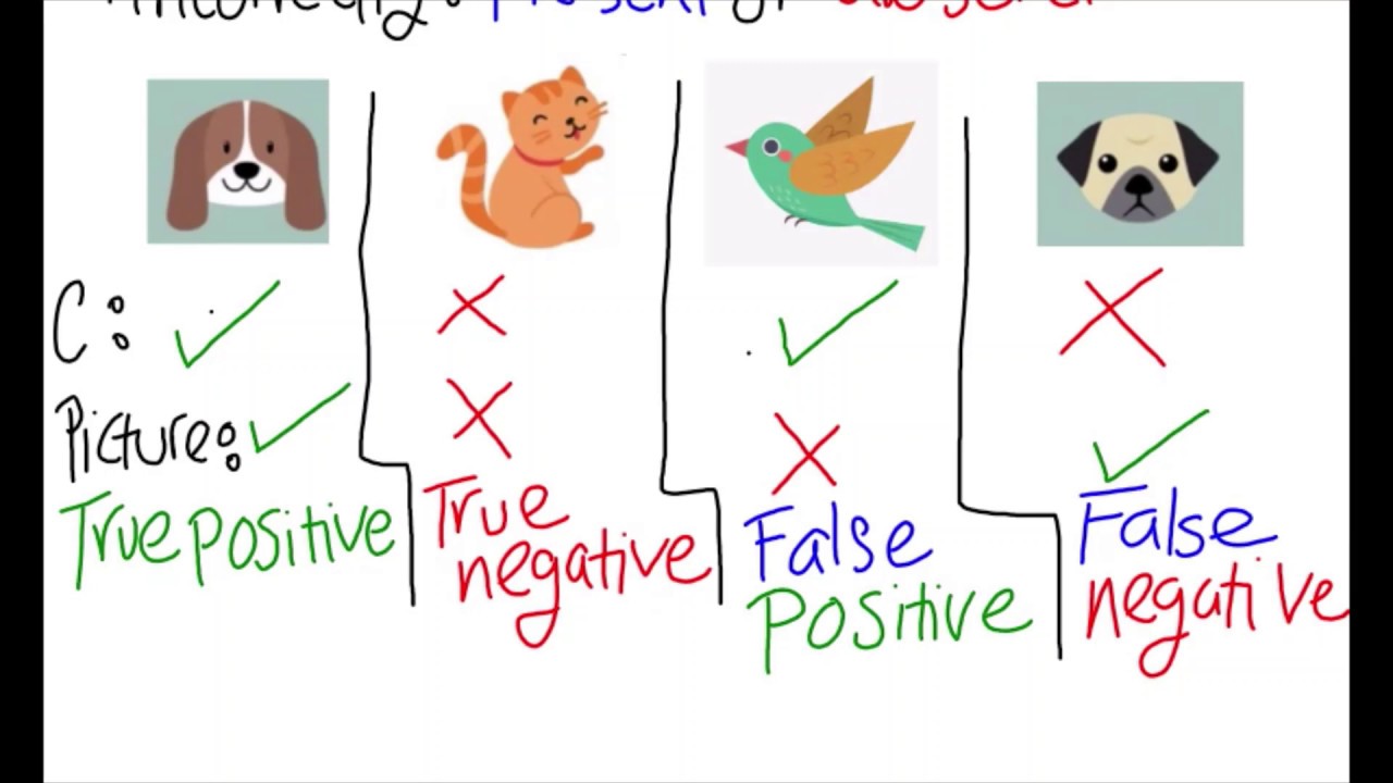 Binary Classification Example Youtube