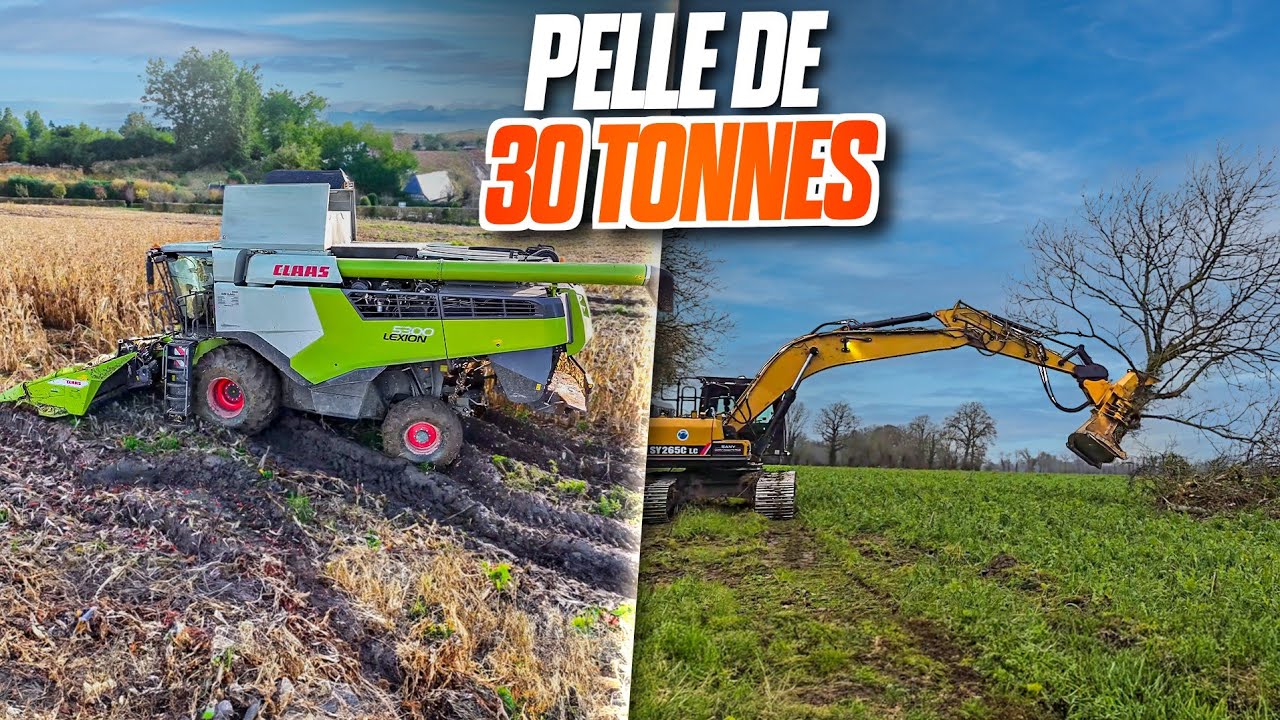 Recortar Setos Y Cosechar Maíz Grano Terminado Videoblogs