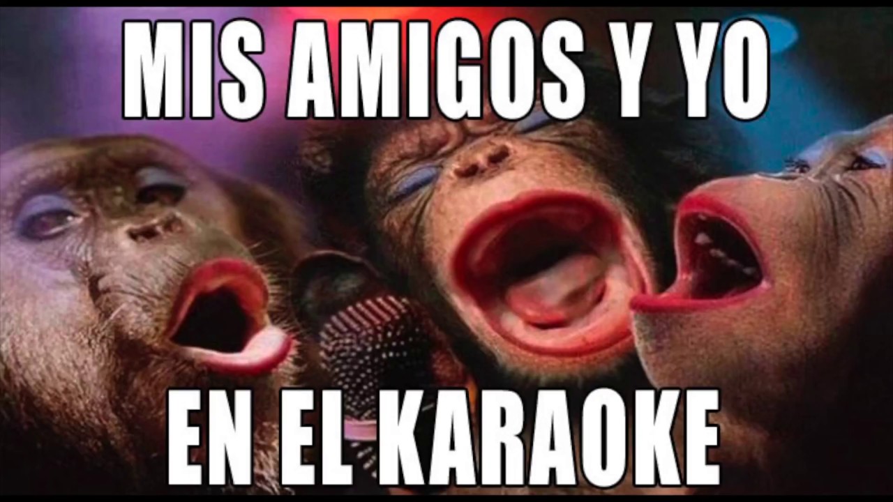 Imagenes De Memes Con Frases Graciosas Citas Para Adultos En Aragon