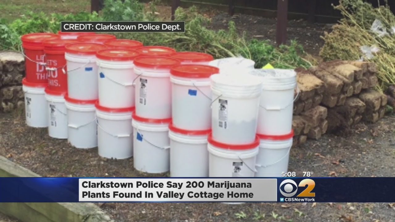 Rockland Drug Bust Youtube