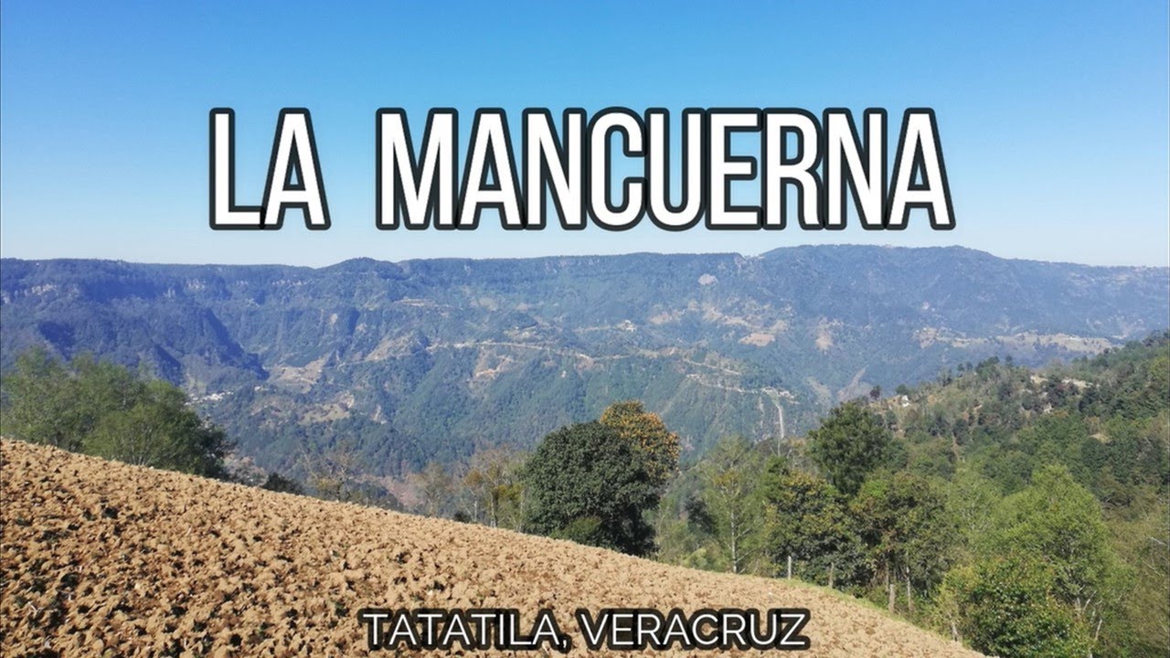 La Mancuerna Tatatila Veracruz Youtube