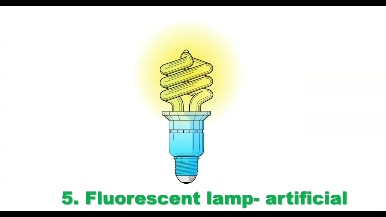 Natural And Artificial Sources Of Light Youtube