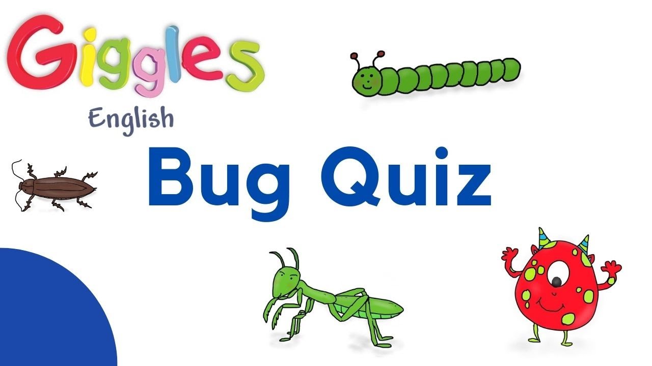 Fun Quiz For Children Bug Quiz Youtube