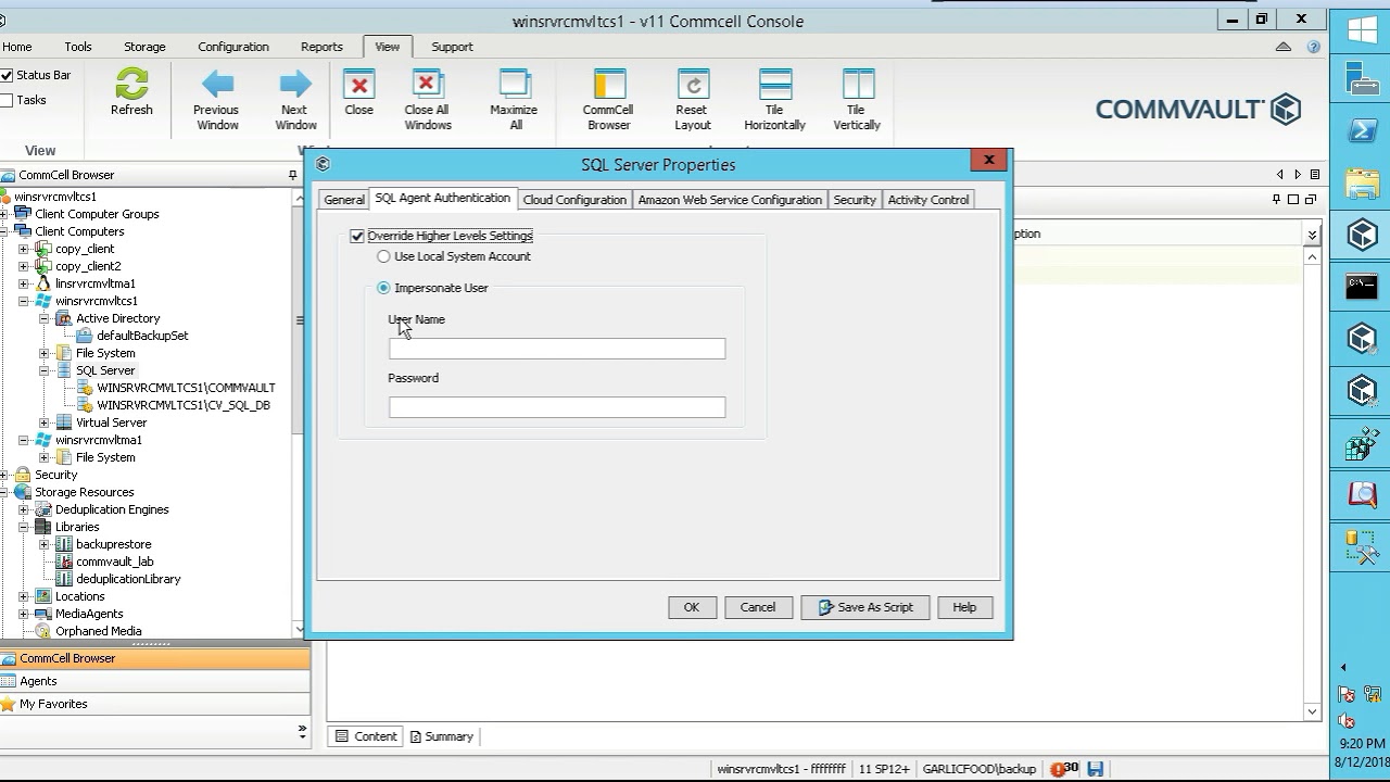 How To Backup Sql In Commvault Getajobinit Getajobintech Youtube
