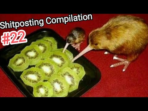 Shitposting Compilation Memes 2024 V22 Youtube