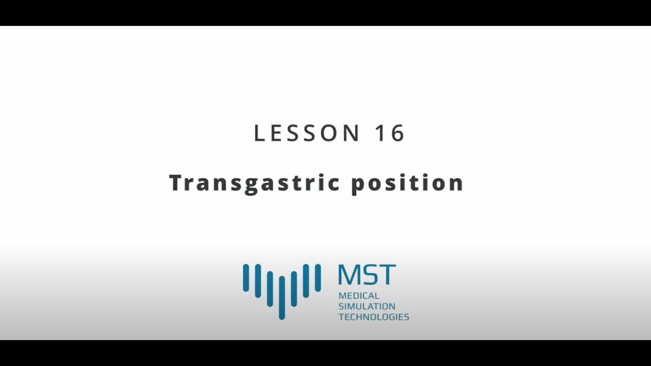 Mst Masterclass Lesson 16 Transgastric Position Youtube