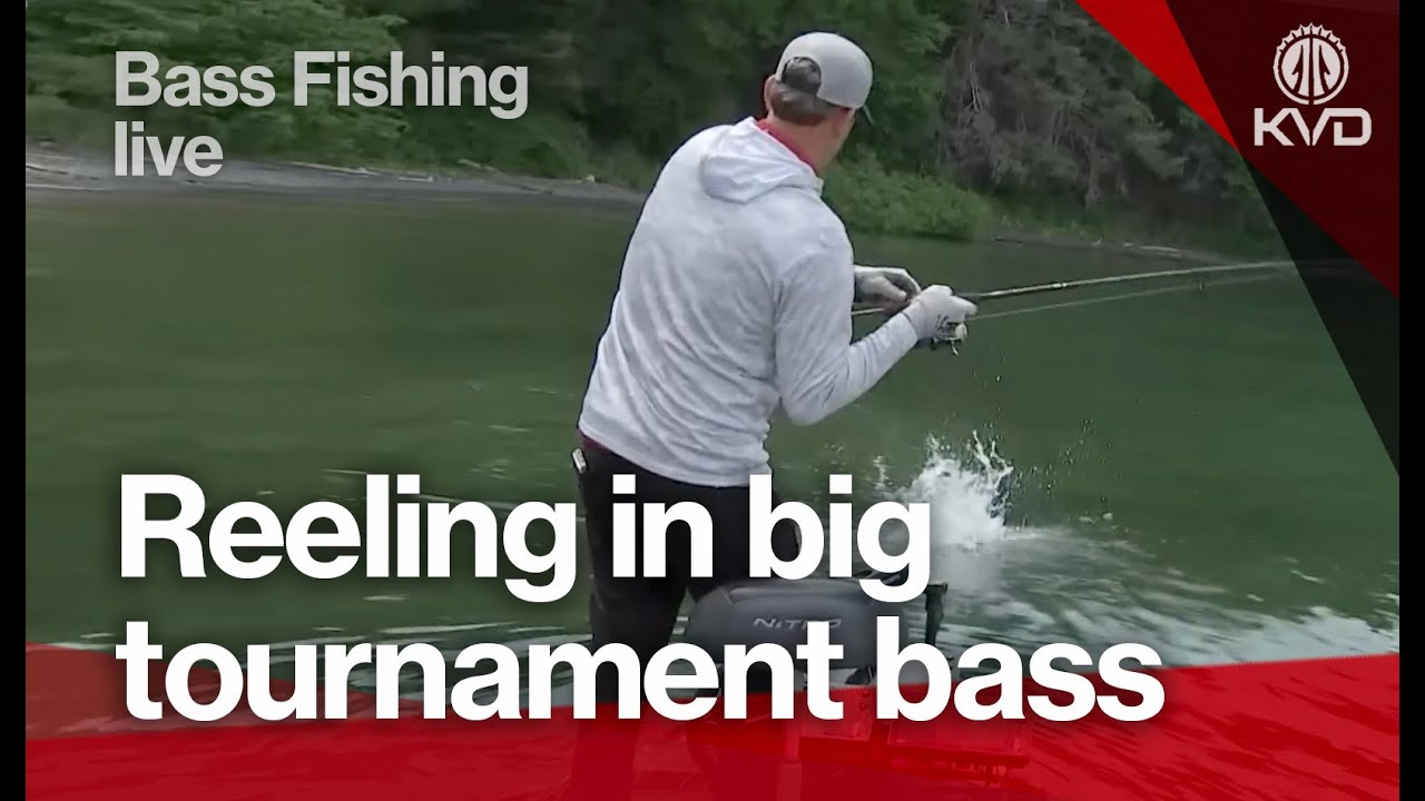 Big Bass Catch Reeling In A Biggun Youtube