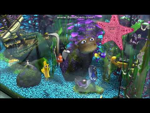 Finding Nemo Nigel Tells Nemo Dvdrip Youtube