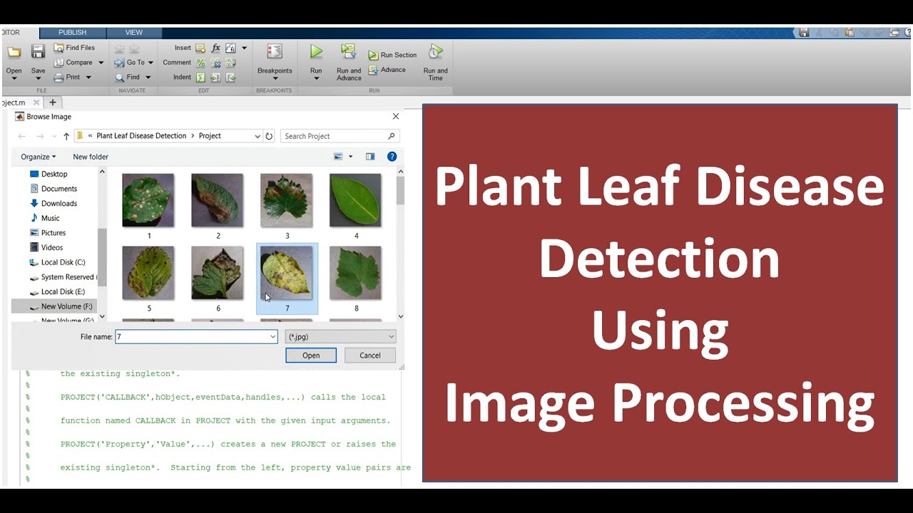 Plant Leaf Disease Detection Using Image Processing Plant Leaf