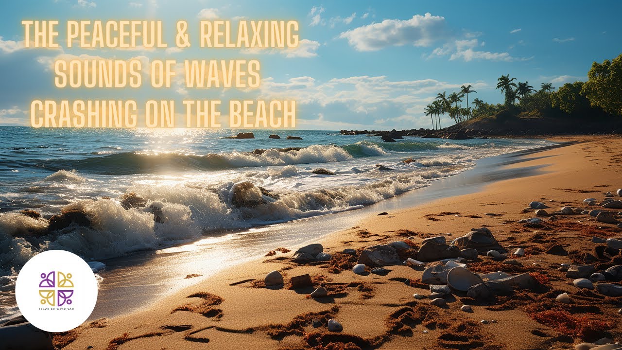 Ocean Wave Sounds Relaxing High Quality Waves At The Beach Nature