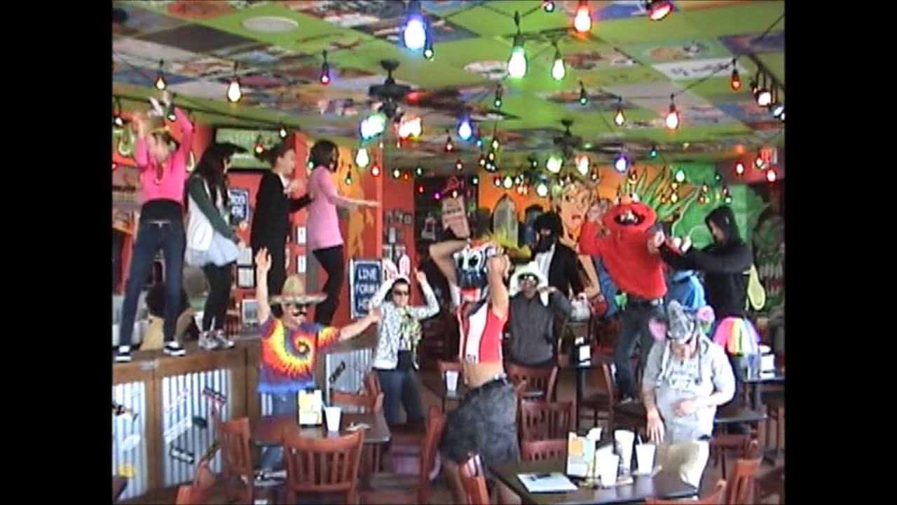 Harlem Shake Tijuana Flats Youtube