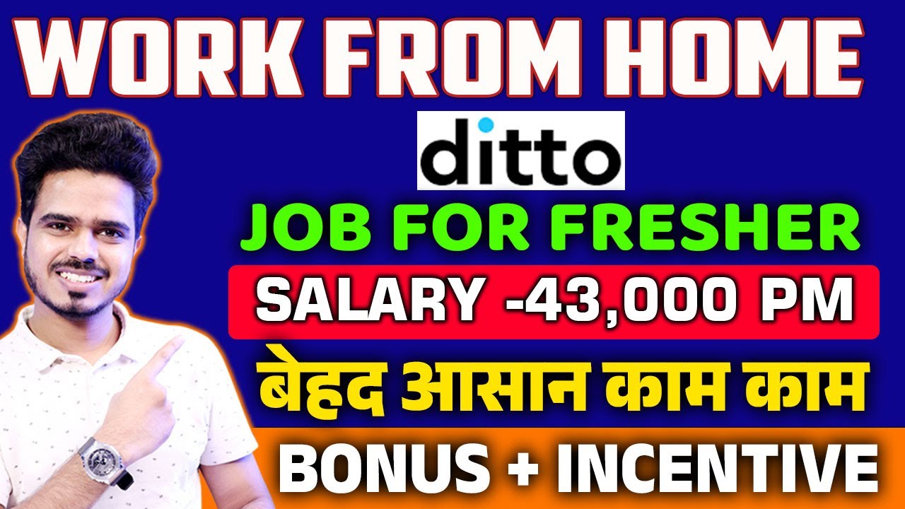 Ditto Hiring Work From Home Jobs 2024 Job For Freshers Online Jobs