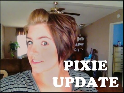 Pixie Update Youtube
