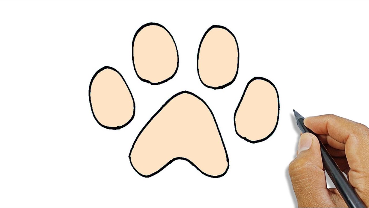 How To Draw A Dog Paw Side View At Benjamin Marcial Blog