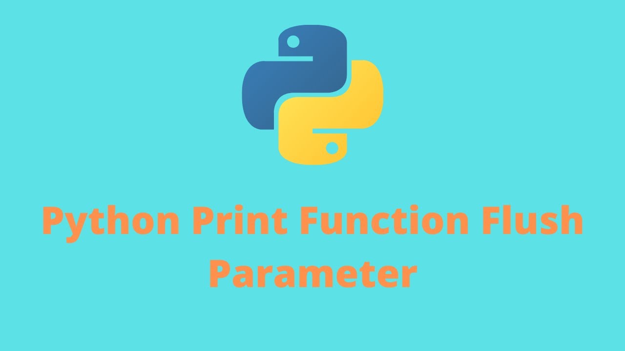 Python Print Function Flush Parameter Youtube