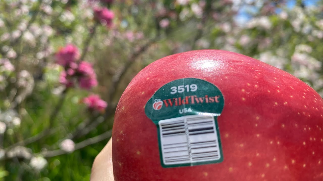 Wild Twist Apple Taste Test Youtube
