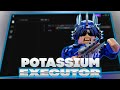 Undetected Potassium Executor 100 Unc Sunc Roblox Executor Lifetime ...