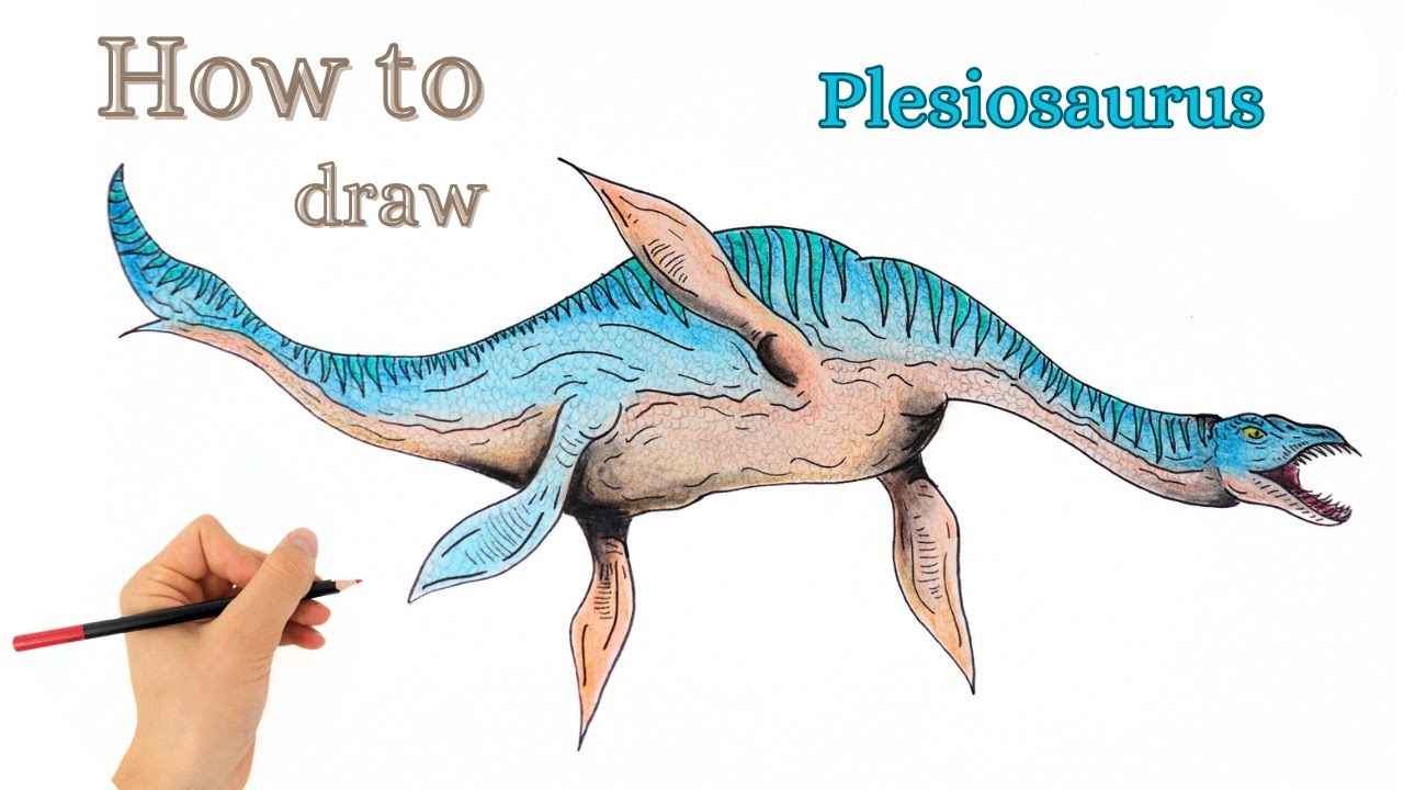 How To Draw Plesiosaurus Youtube