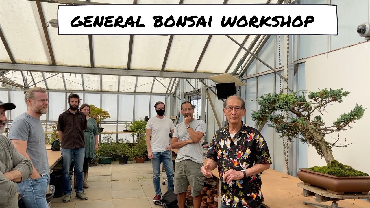 Herons Bonsai Workshop For Beginners Youtube