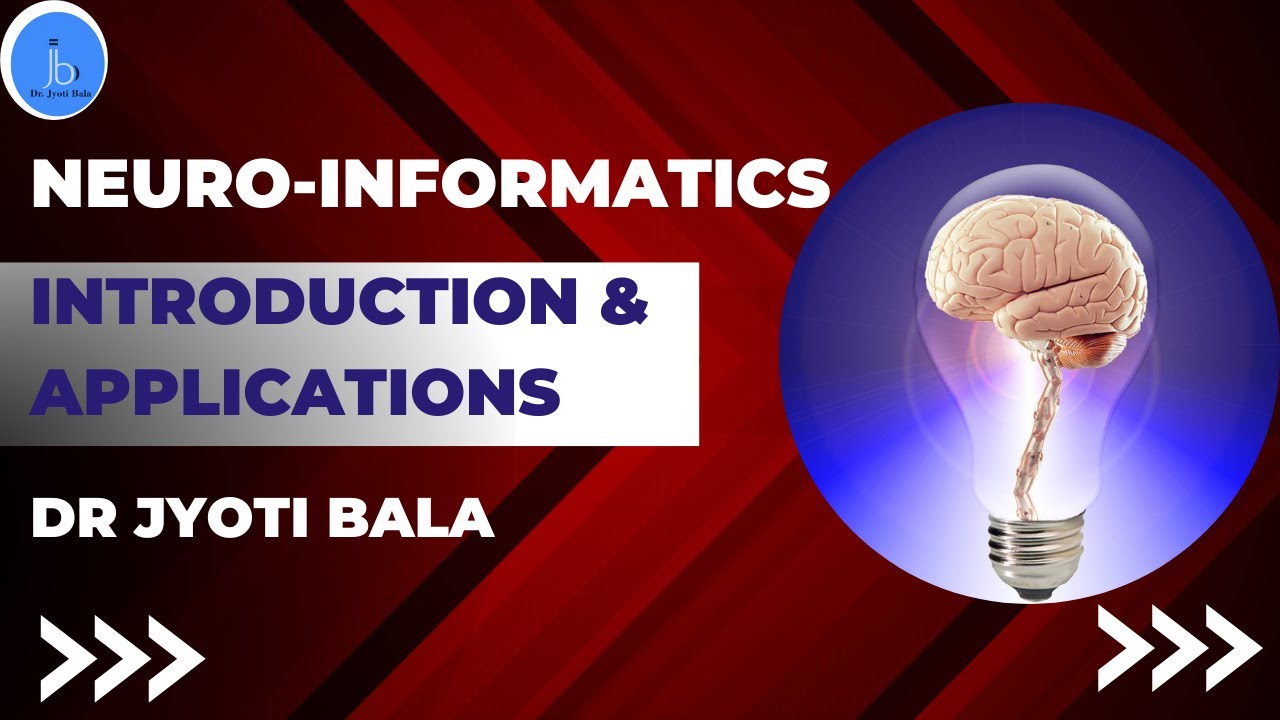 Neuroinformatics Introduction Trending Applications We Must Know