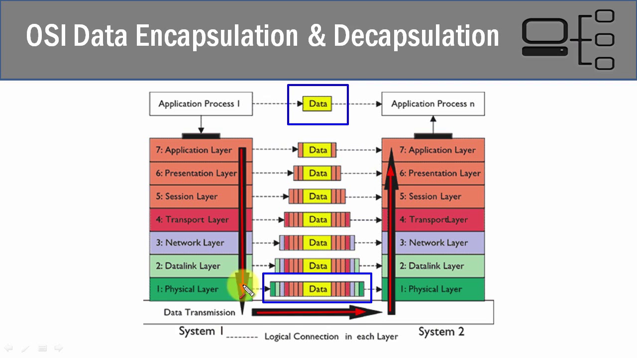 56 Osi Model Data Encapsulation And Decapsulation Youtube