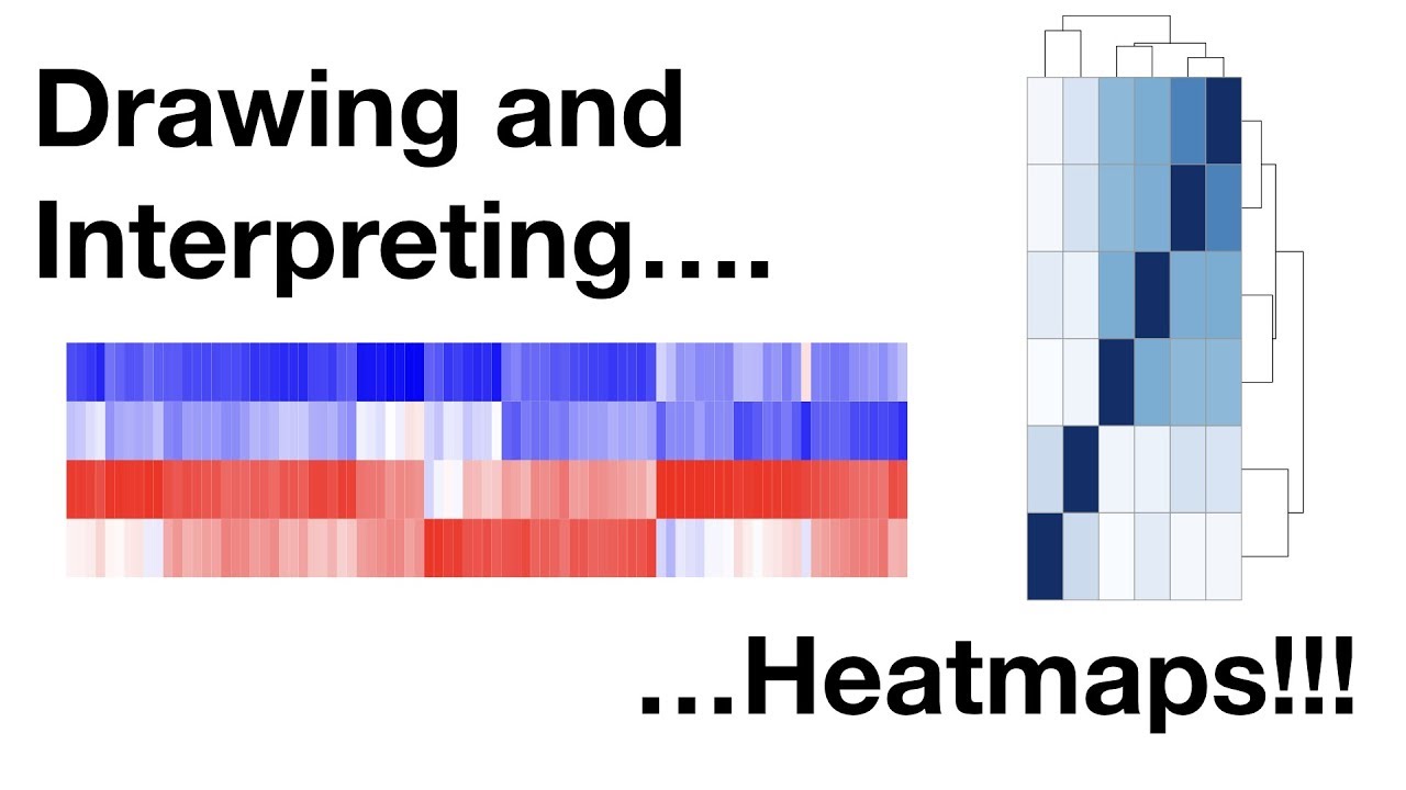 Drawing And Interpreting Heatmaps Youtube