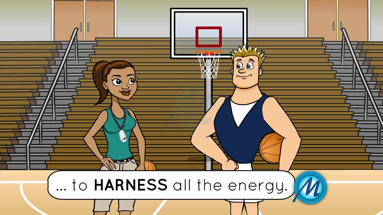 Harness Youtube