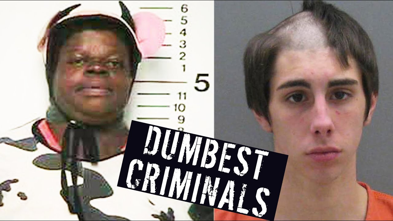 5 Dumbest Criminals Ever Youtube