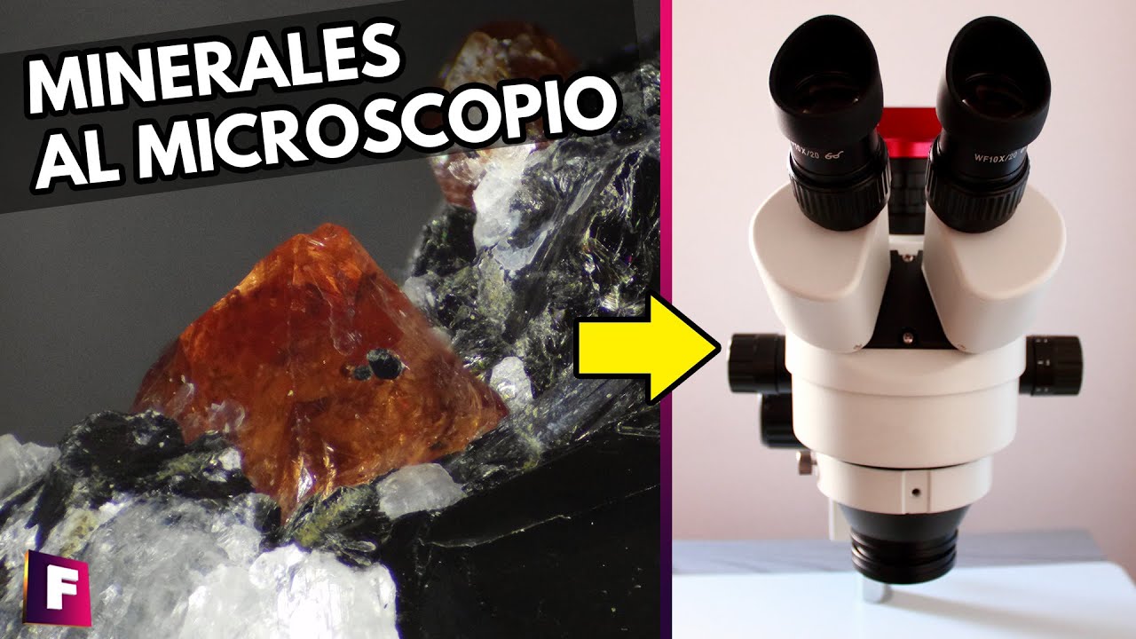 вїcгіmo Se Ven Los Minerales Micromounts Desde Un Microscopio рџ Foro De