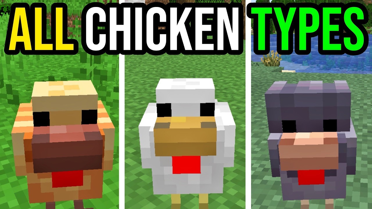 How To Find Every Chicken Variant In Minecraft Youtube