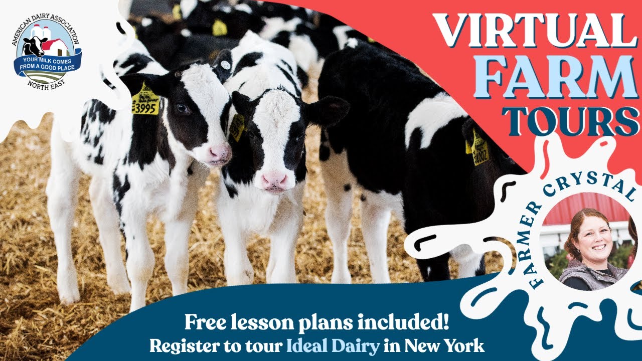 Virtual Farm Tour Ideal Dairy Youtube
