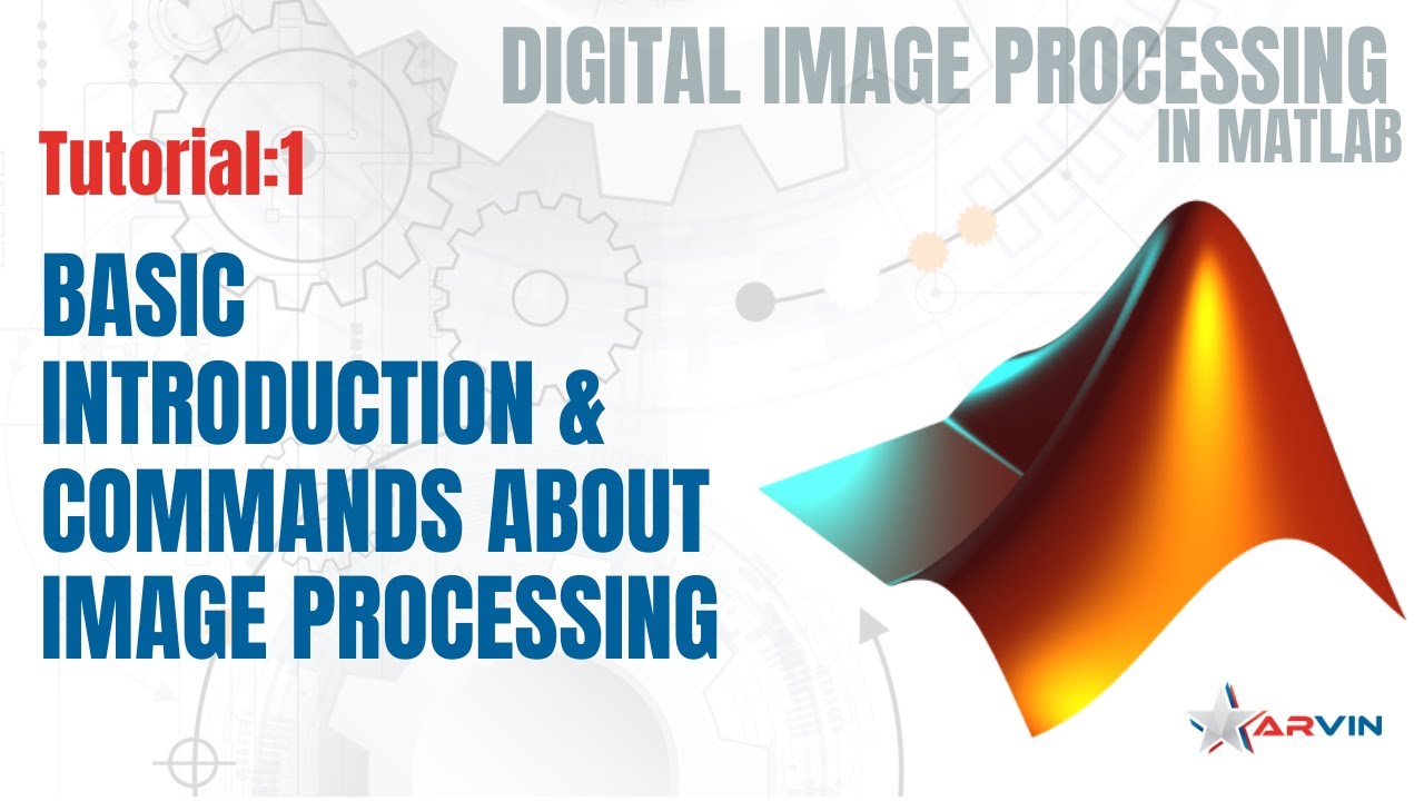 Tutorial 1 Basics About Digital Image Processing Dip In Matlab