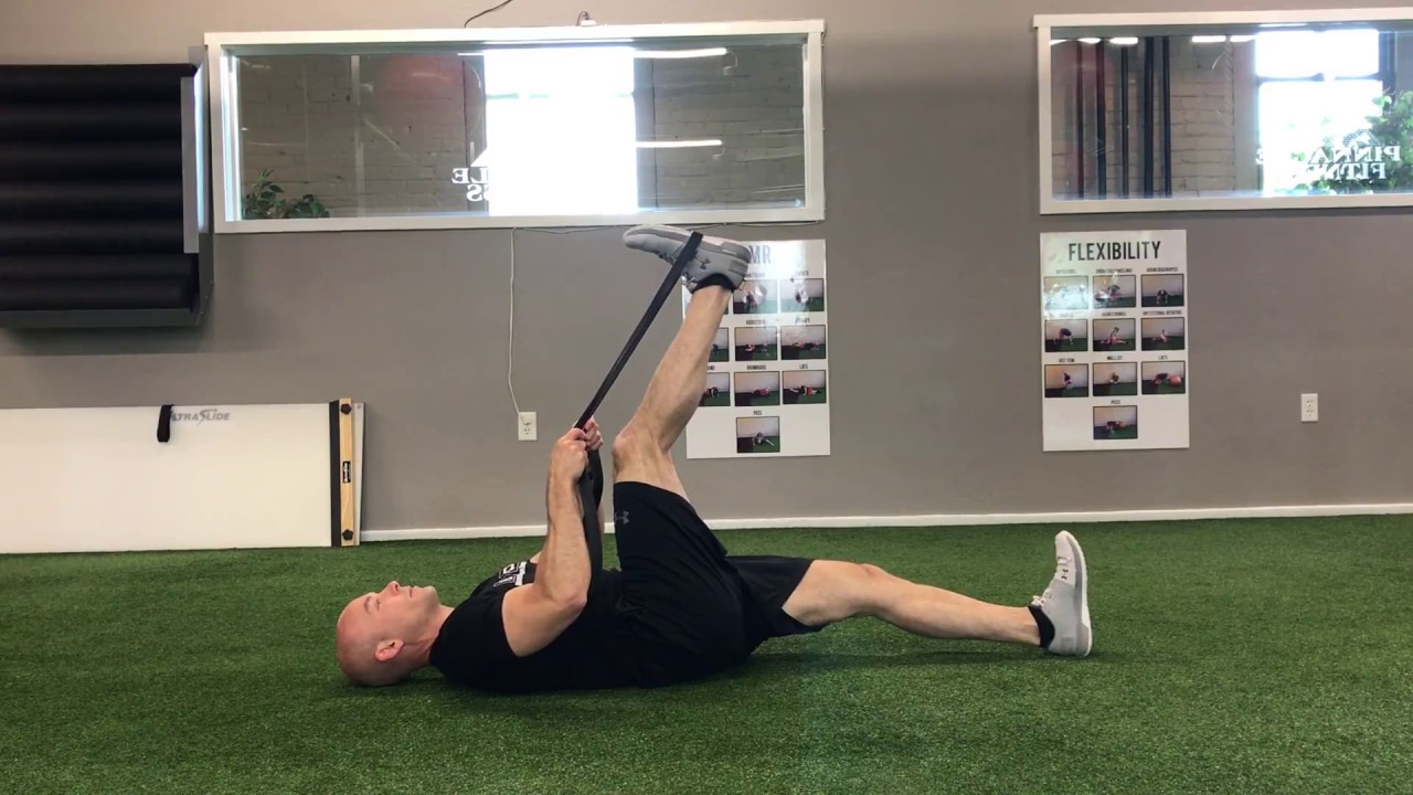 Hamstrings Youtube