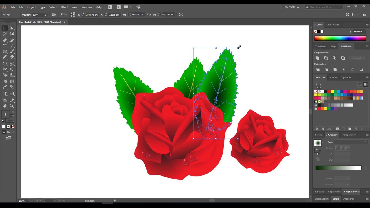 How To Draw A Rose On Adobe Illustrator