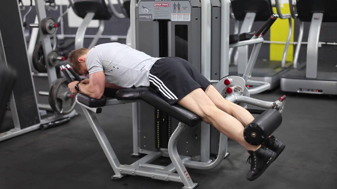 What Is A Hamstring Curl At Brayden Woodd Blog