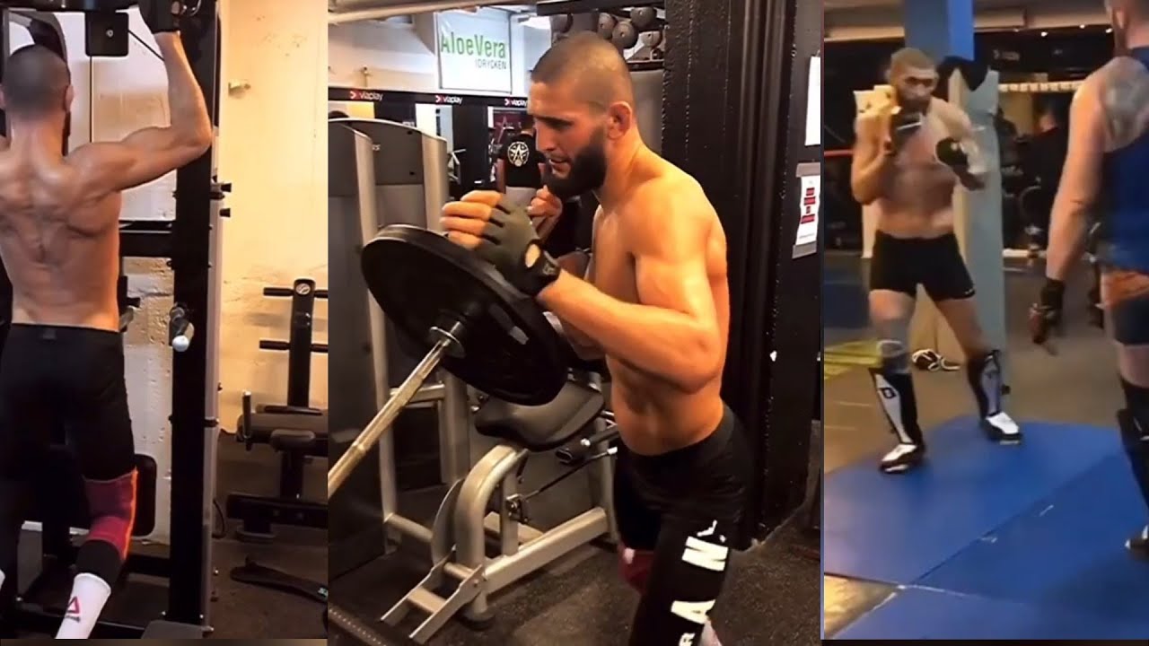 Khamzat Chimaev Training Youtube