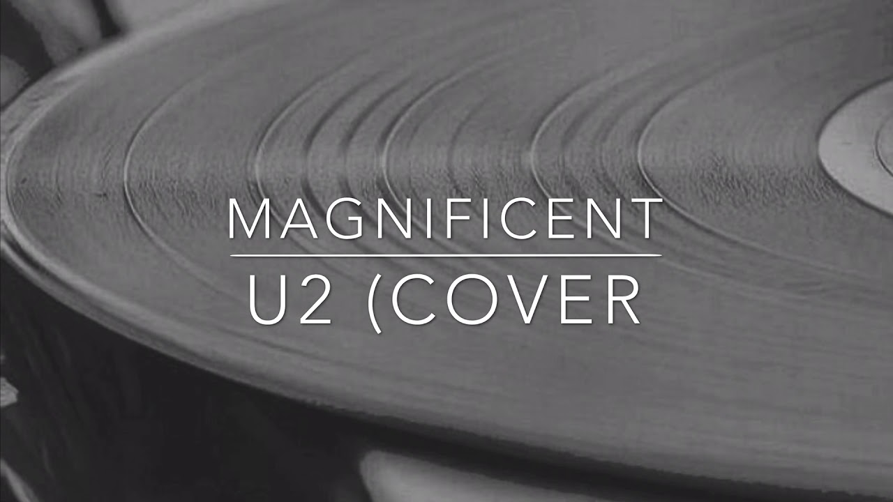 Magnificent U2 Cover Youtube