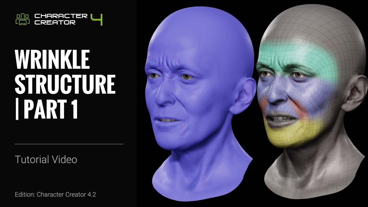 Custom Wrinkle Editing Part 1 Wrinkle Structure Character Creator 4