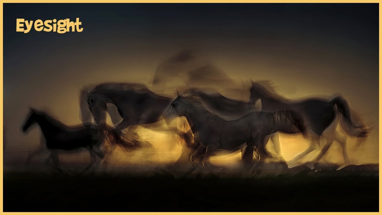 My Horses Whisper Eyesight Youtube