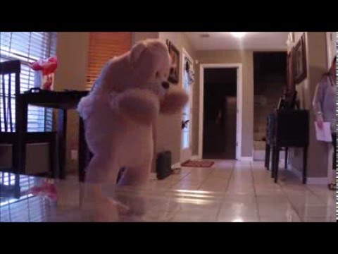 Teddy Bear Scare Prank Youtube