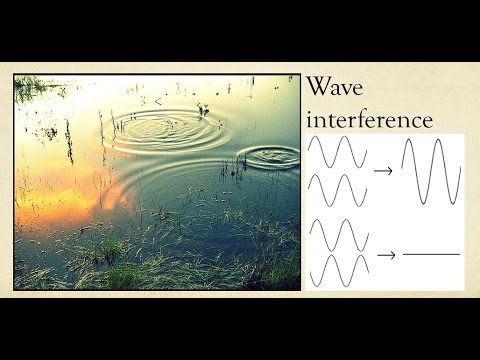 Wave Interference 5 Youtube
