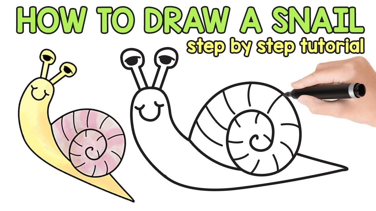 Learn How To Draw A Snail Step By Step Drawing Tutorial Youtube